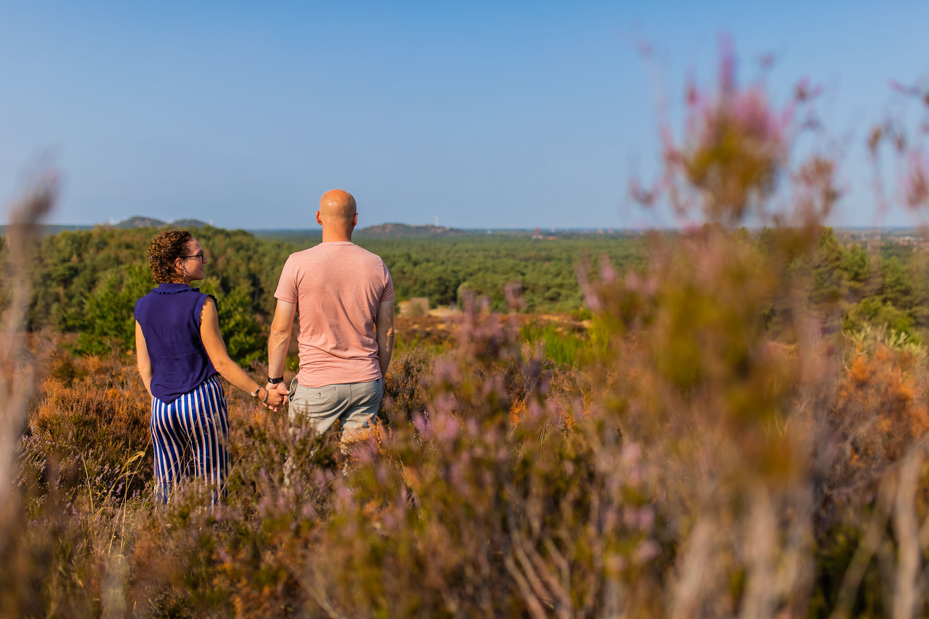 Endless summer enjoyment on the Mechelse Heide