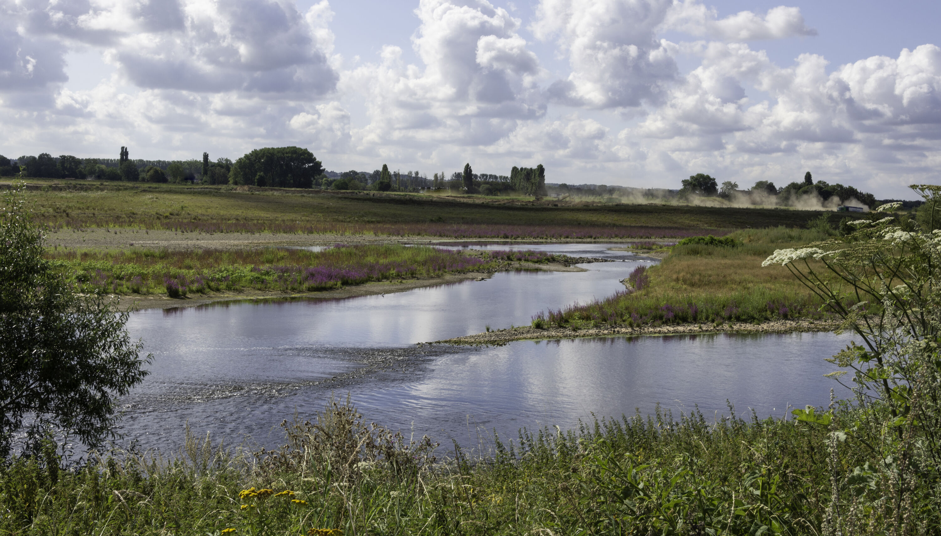 Where the Maas is Boss