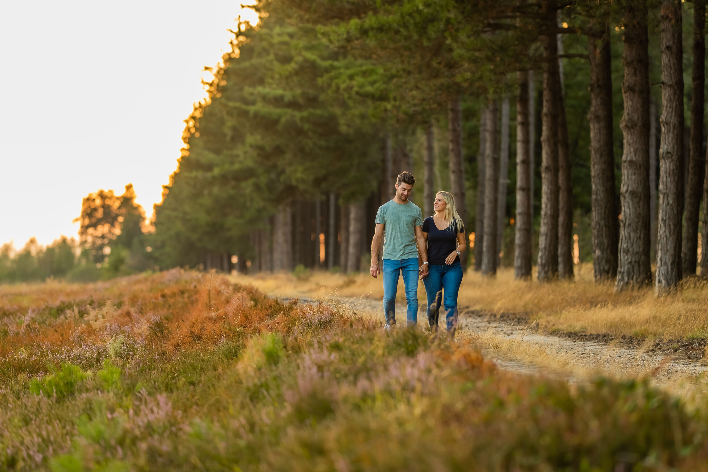 Topwandeling Terhills - Mechelse Heide